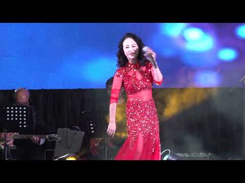 My Video 1110 22 鳳山宮 银龟会 歌台之夜聯歡晚宴 49 Defu Lane 12 - YouTube