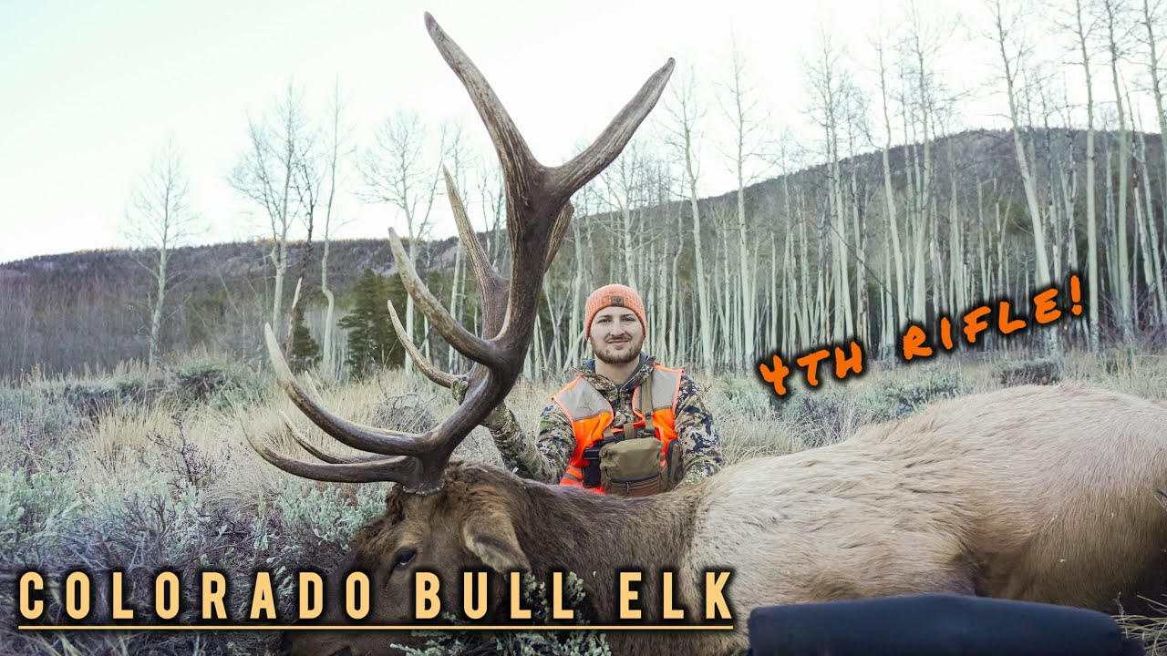 COLORADO 4TH RIFLE ELK HUNT 2025 | GIANT 5X5 BULL DROPS IN 4K! - YouTube
