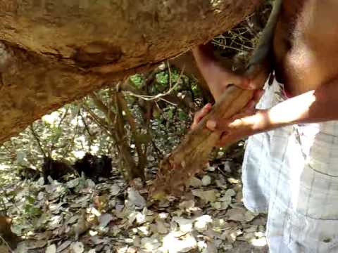 Mata cobre e mostra o pau