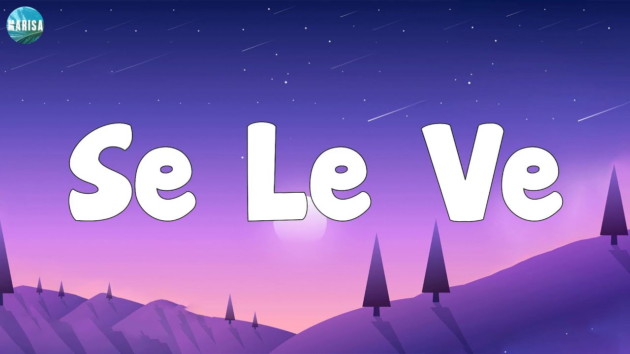 Sech - Se Le Ve (Lyrics/Letra) - YouTube