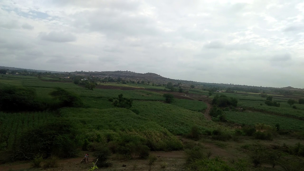 Nature gift of goad - YouTube