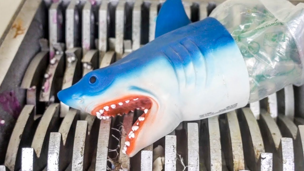 GREAT WHITE SHARK VS SHREDDING MACHINE! COOL EXPERIMENT! - YouTube