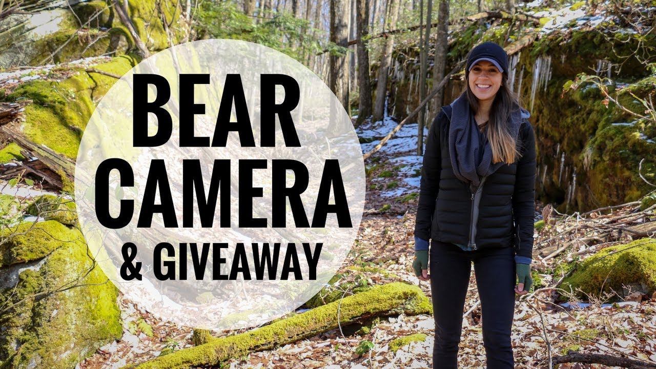 Setting Trail Cams & Surprise Giveaway!! - YouTube