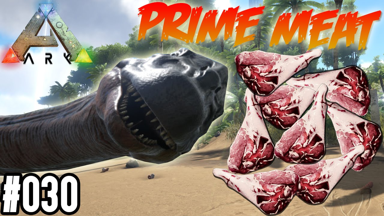 Prime Meat Jerky Official Ark Survival Evolved Wiki