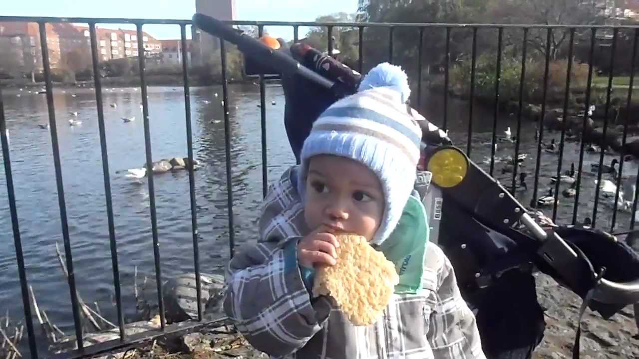 Alexander Mok Olsen 28.10.12.Video part 2 - YouTube