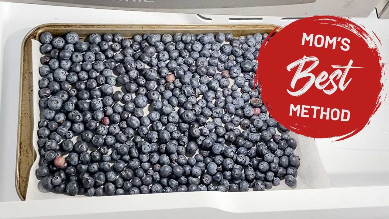 How to Freeze Blueberries - The Easy Way - YouTube