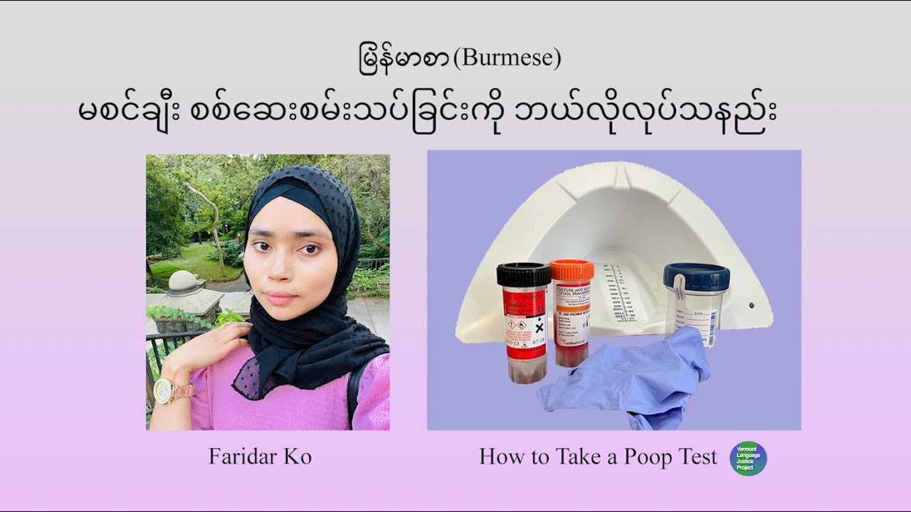 Burmese: မစင်ချီး စစ်ဆေးစမ်းသပ်ခြင်းကို ဘယ်လိုလုပ်သနည်း How to take a ...