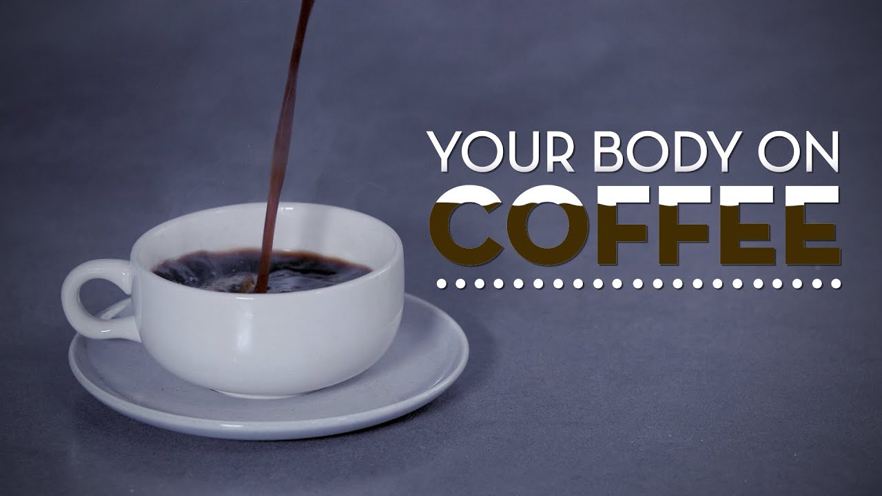 This Is Your Body On Coffee - YouTube