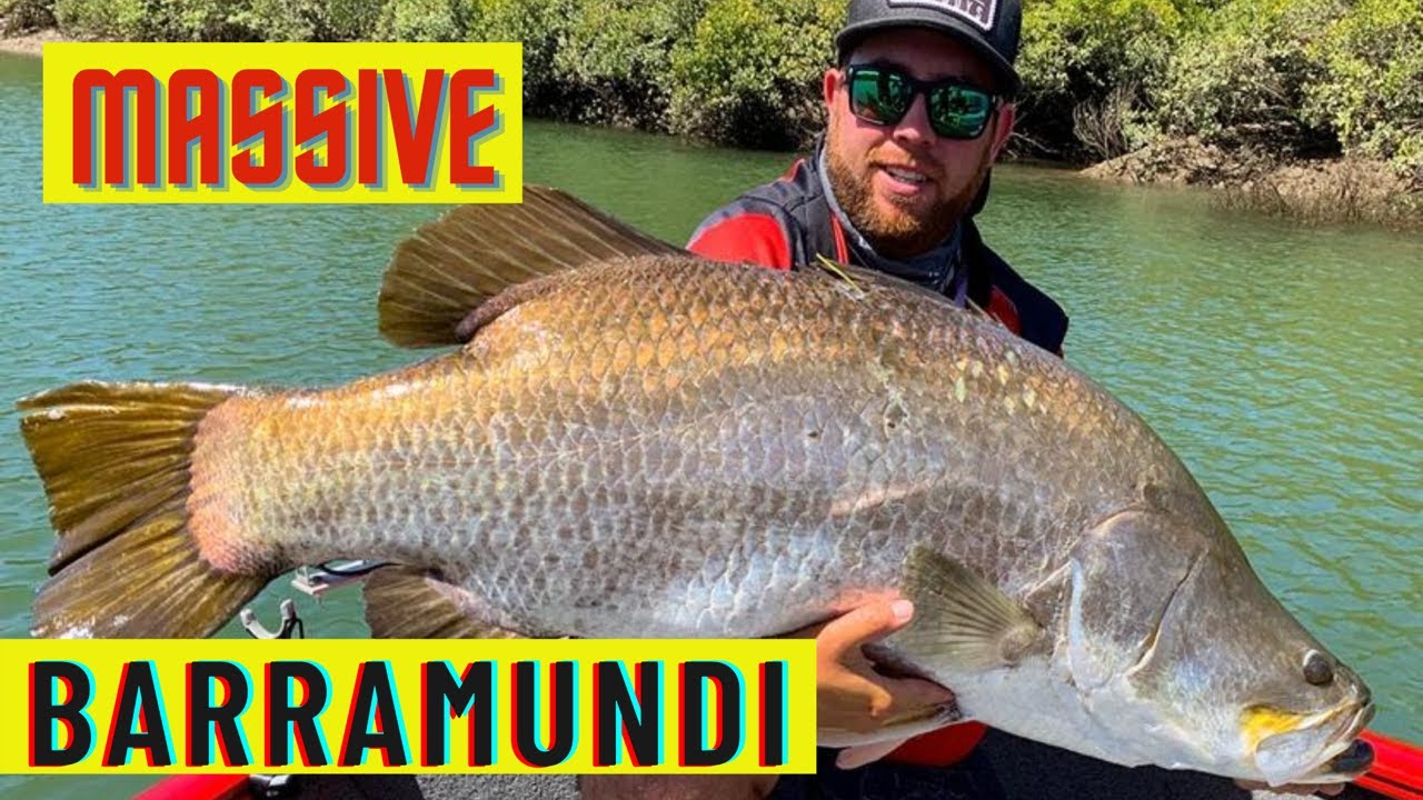NEW PB SALT WATER BARRAMUNDI! 120cm - YouTube