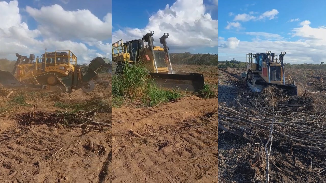 Advanced Bulldozer V-Shearing for Land Clearing and Stump Removal, Tree ...