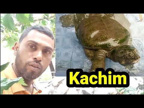 Kachima|| Real video in kachim || @aivlog3628 || So sweet dreams my ...