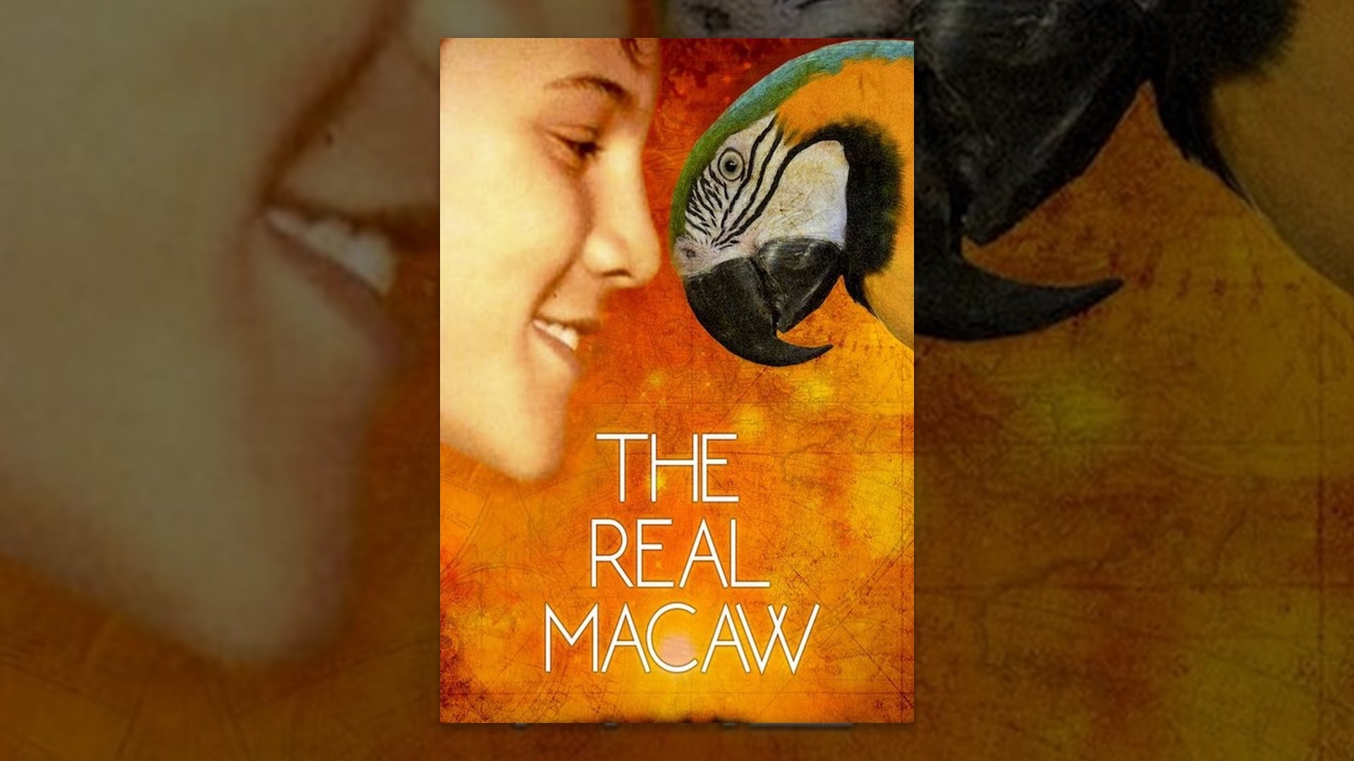 The Real Macaw - YouTube