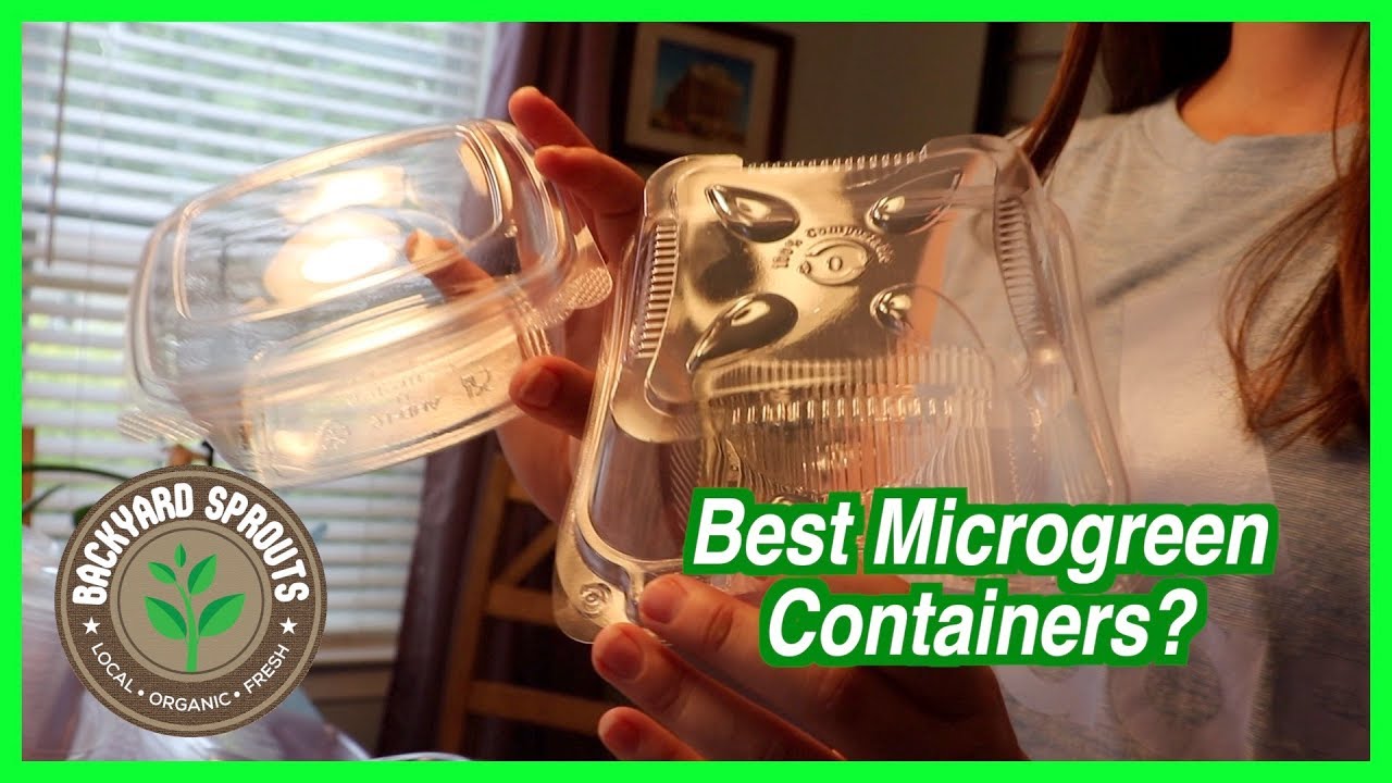 VLOG 9: How We Chose Our Microgreen Containers in 2019 - YouTube