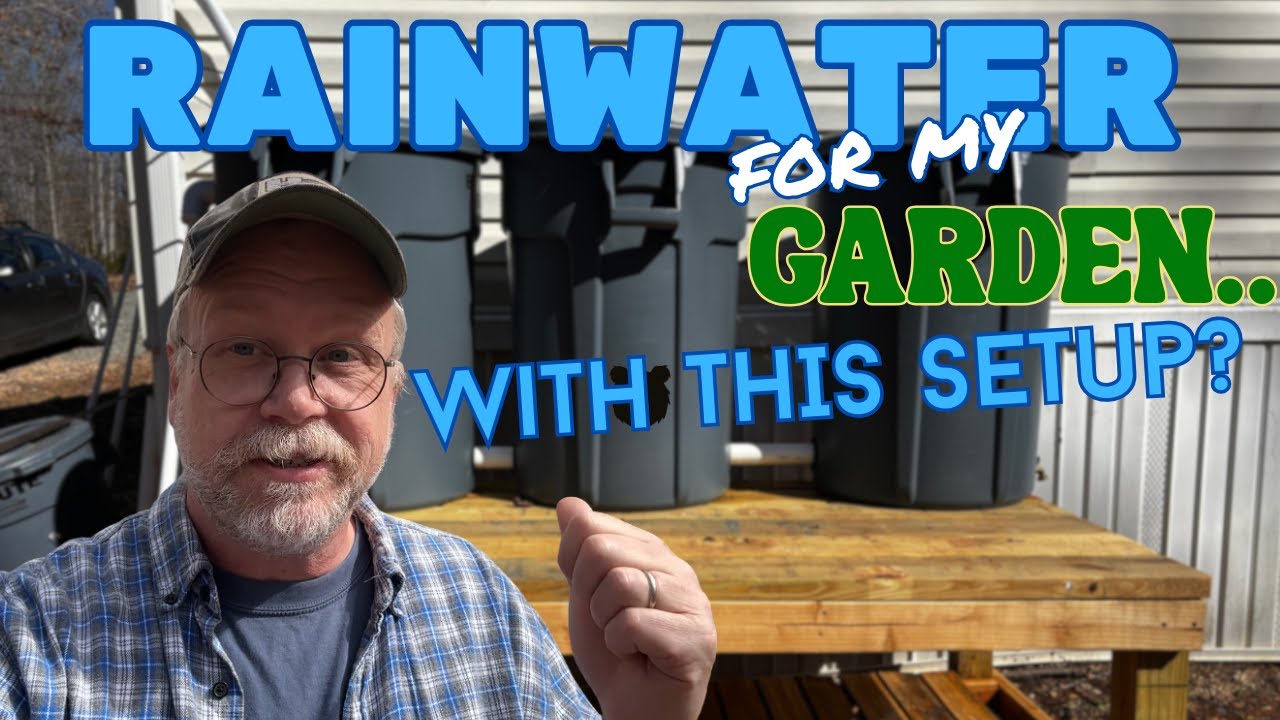 How I built a rainwater collection system for my garden for cheap ...