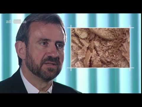 (Doku in HD) Die Rückkehr der Eismumie