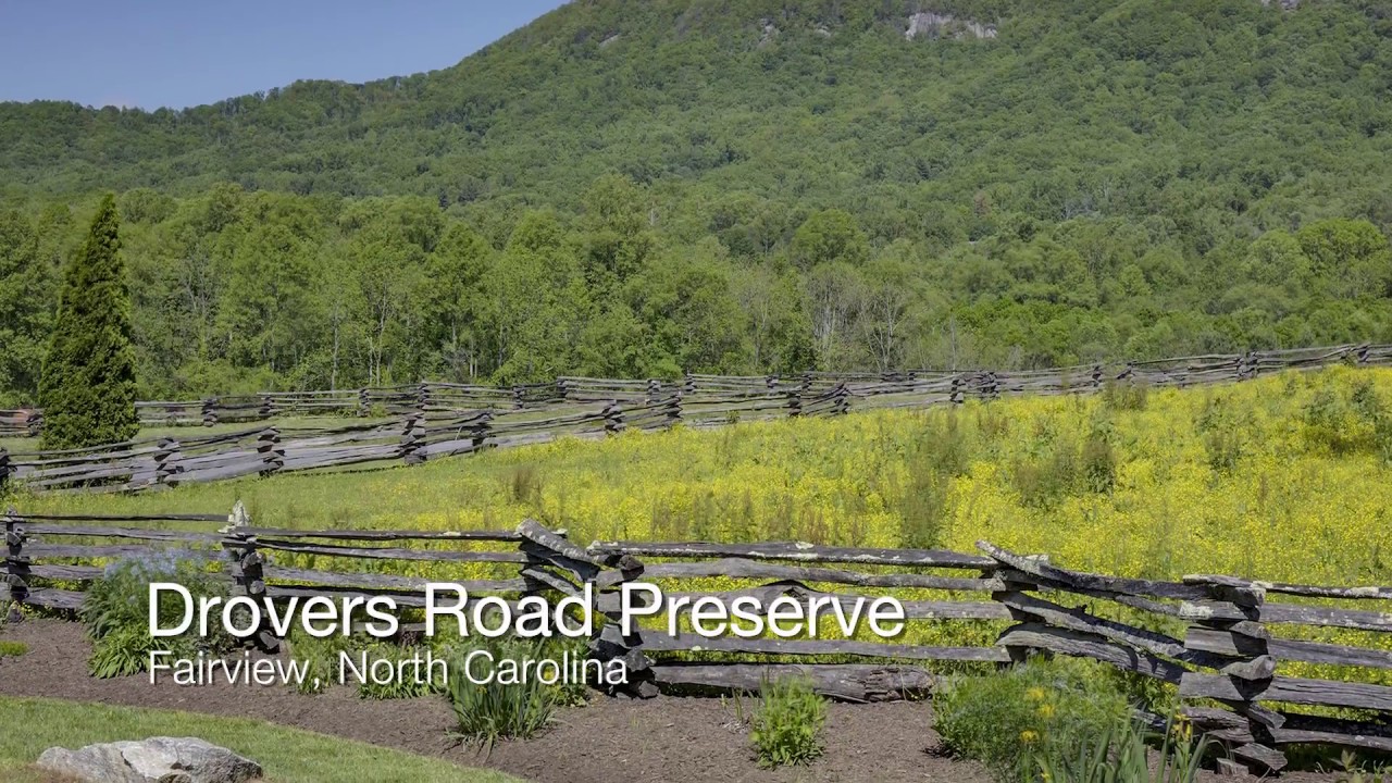 Drovers Road Preserve in Fairview, NC - YouTube