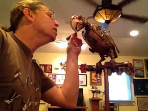 Fixing My Evil Robot Parrot - YouTube
