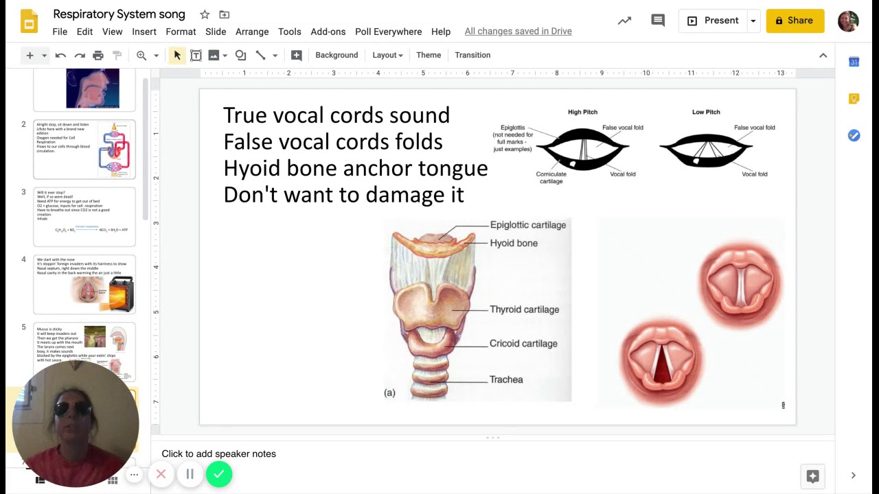 Respiratory System song Google Slides - YouTube