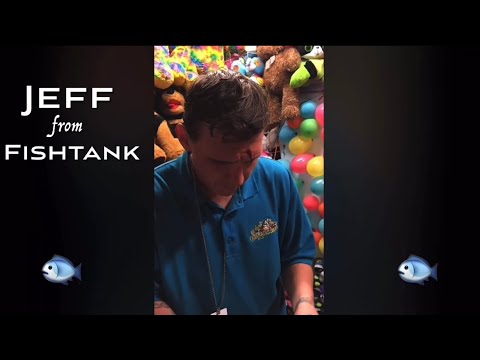 Fishtank Live • JEFF Gets Hit in the Head with a Dart • Jeff from ...