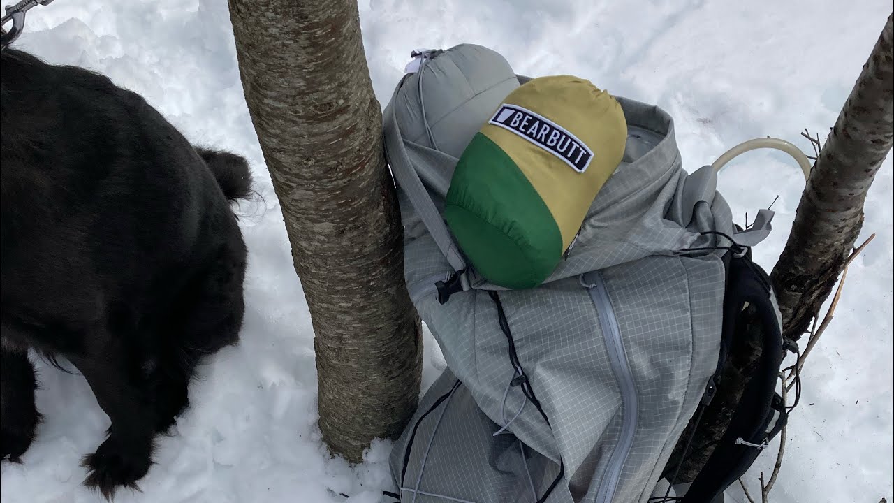 Bear Butt Hammock and Kodiak Tree Straps First Impressions - YouTube