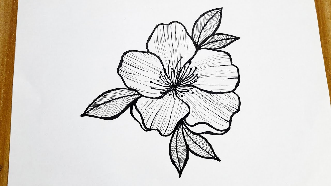 How to draw a flower easy || Flower drawing tutorial - YouTube
