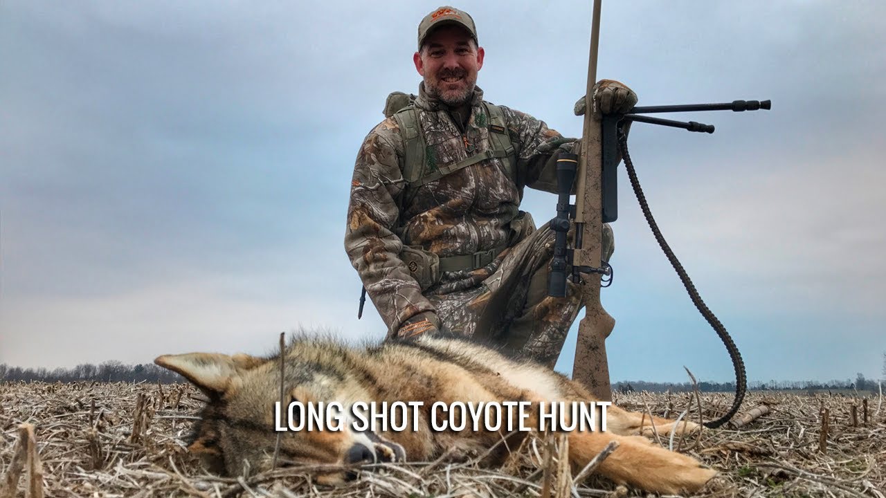 Long Shot Coyote Hunt - YouTube