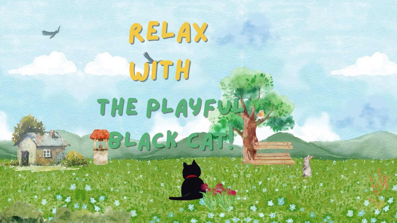 🎶 Relax with the Playful Black Cat 🎶 - YouTube