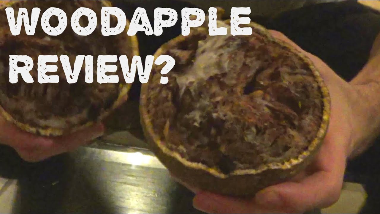 Woodapple Review - Weird Fruit Explorer : Ep. 8 (Christmas Special ...