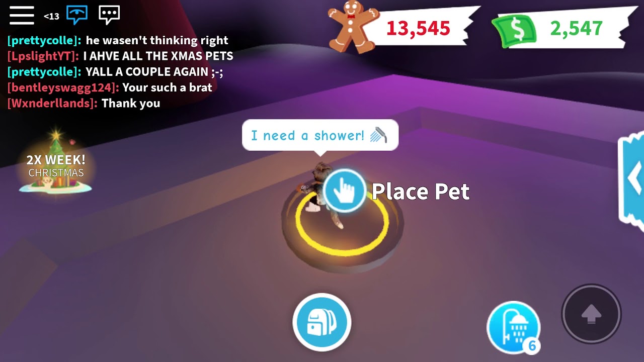 Making a Neon Chocolate Labrador - YouTube