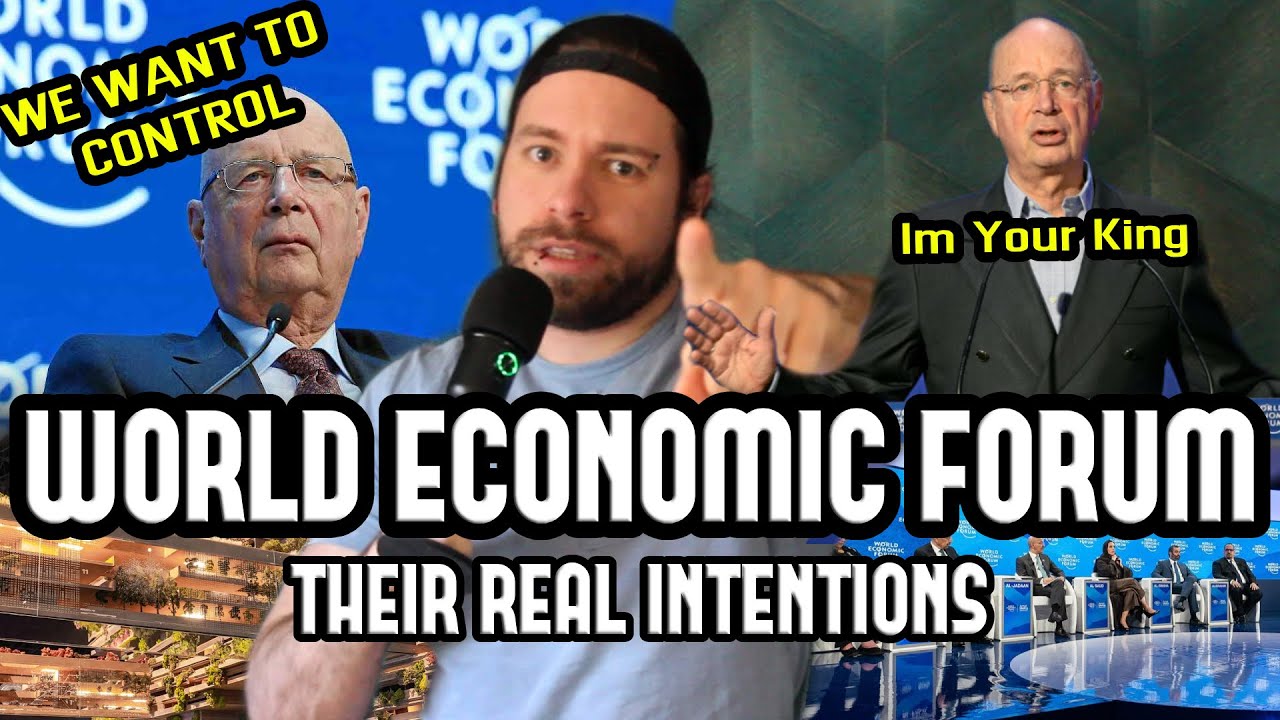 What is the World Economic Forum (WEF) - This is a fictional story and ...
