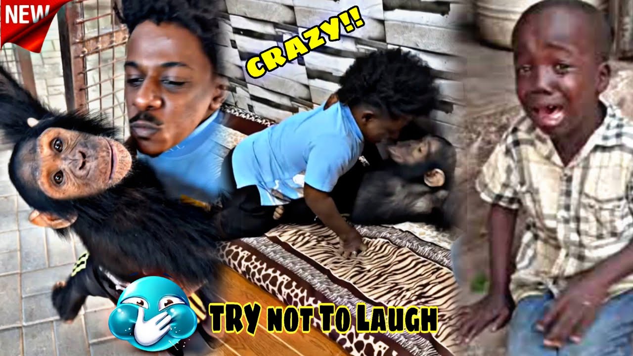 African Most Funny Videos 🤣• Try Not To Laugh | Funny Moments [Episode ...