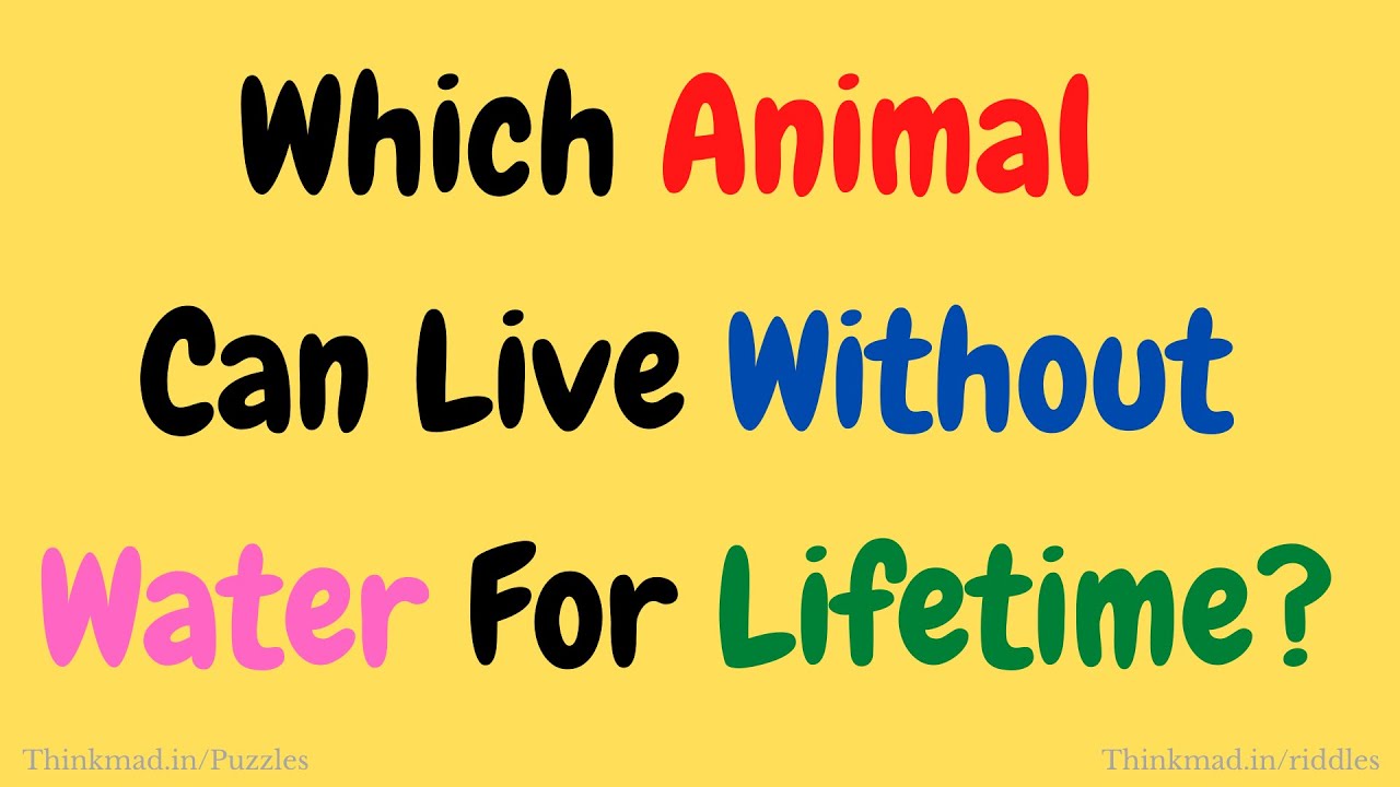 General knowledge Facts about animal | Quiz questions on Animals | Part ...