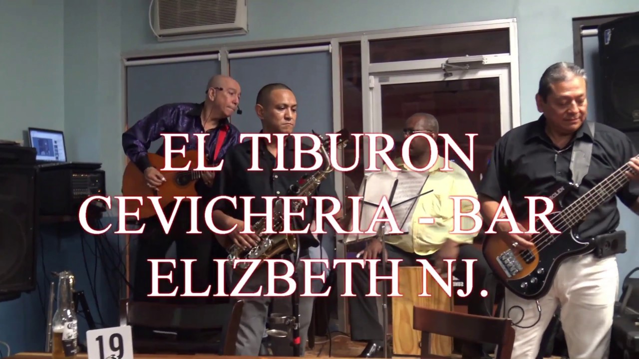 EL GATO ARBOLEDA EN EL TIBURON NJ - YouTube