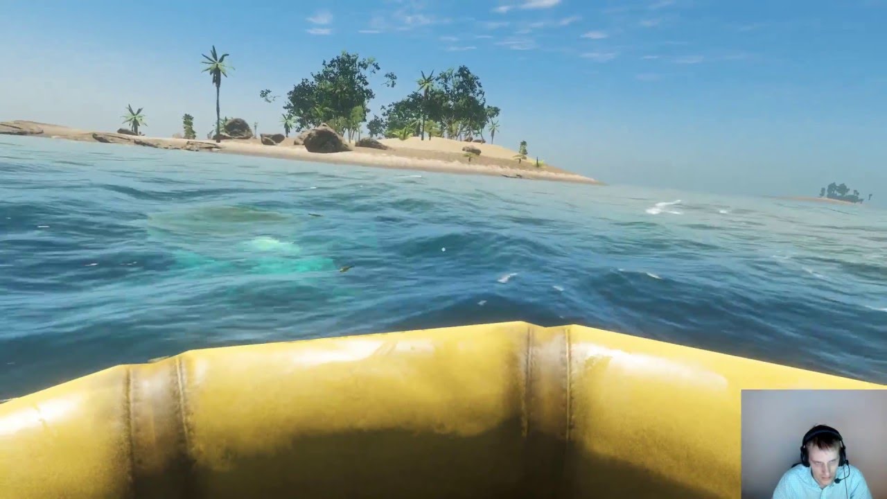 Help me Survive while I am thrown into a deserted island with little to ...