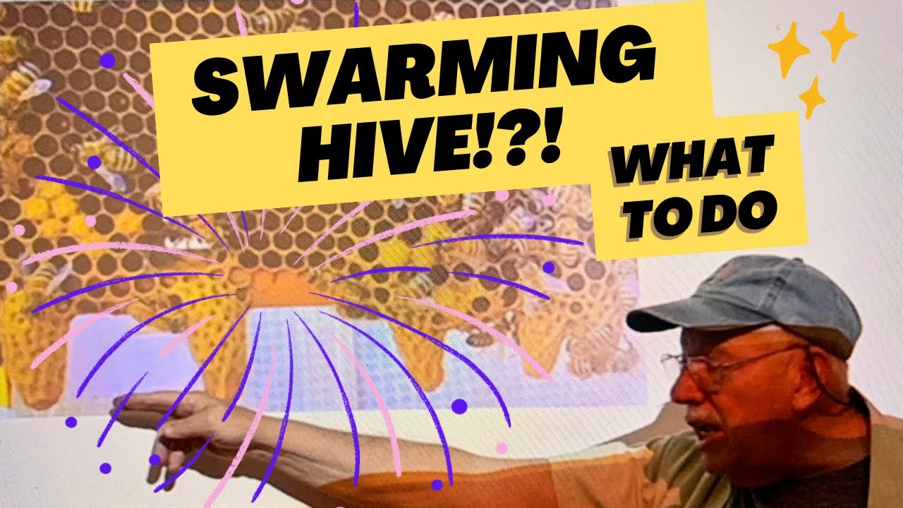 Dr. Dewey Caron: Swarm Management (CBA 4/27/23 Speaker Meeting Pt. 2 ...