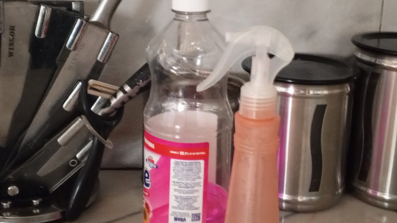 Neiber hogar está en vivo - YouTube