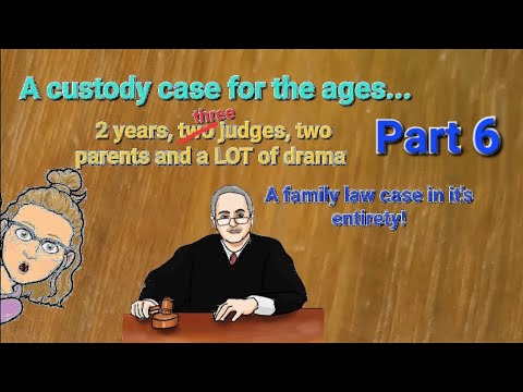 Part 6 - Family Court Case - The most dramatic I've seen!