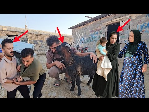 Selling baby goats to pay off debt! Purchasing winter provisions and striving to save Zeinab's life.