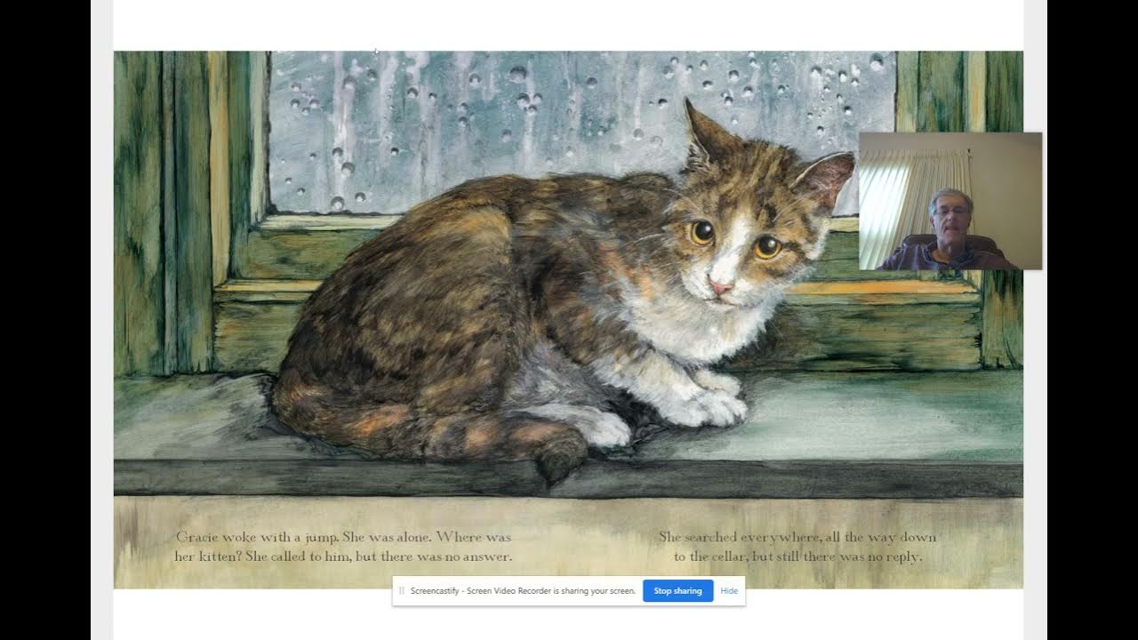 Gracie The Lighthouse Cat - YouTube