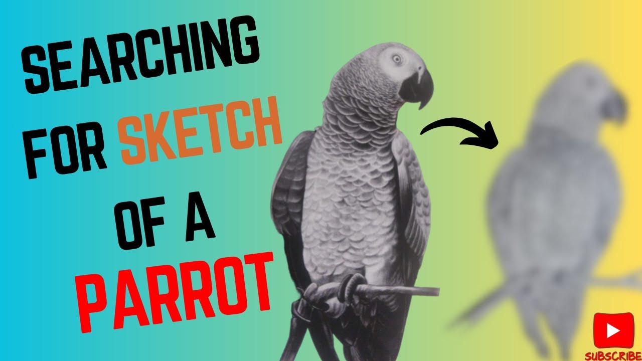 Unveiling the secrets to creating a stunning 3D parrot sketch | how to ...