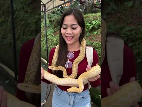 Main sama hewan itu seru banget🥰