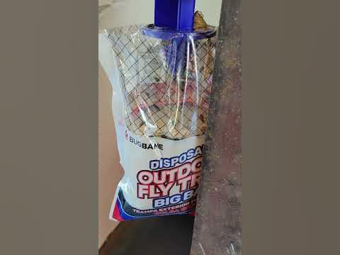 Bugbane outdoor fly trap Review - YouTube