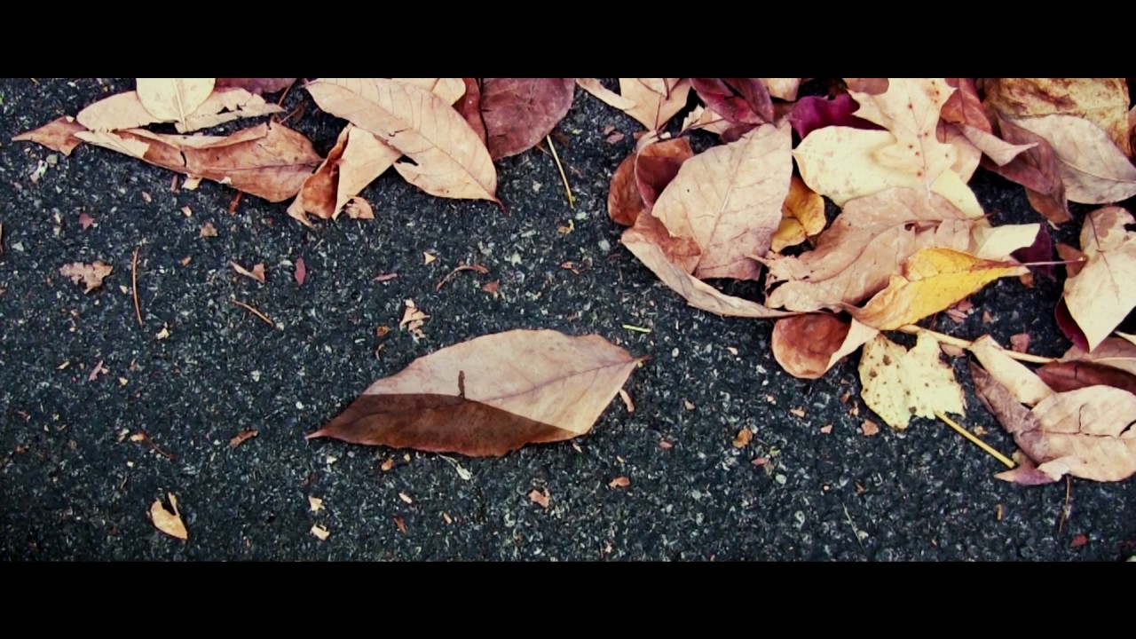 Keep Earth Beautiful - YouTube