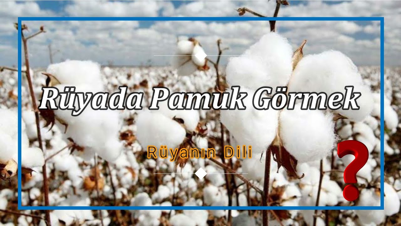 RÜYADA PAMUK GÖRMEK (rüya tabiri) - YouTube