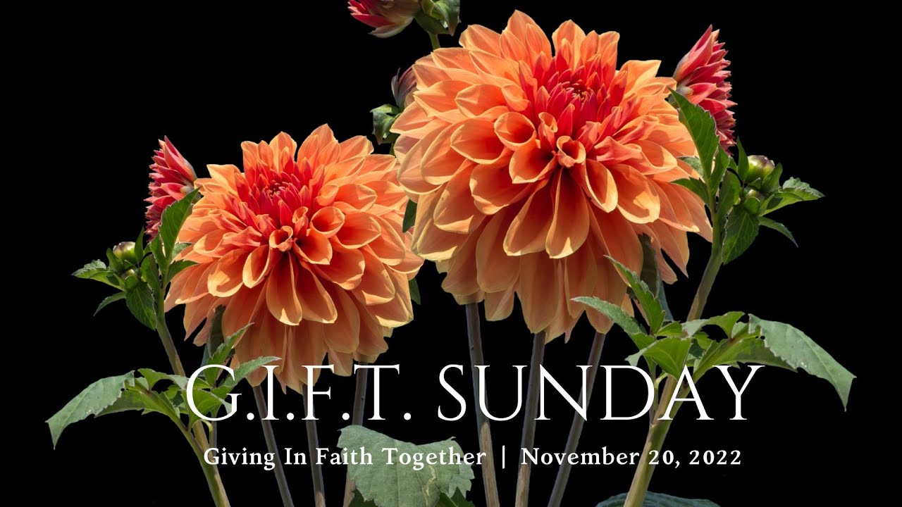 Sunday Morning Worship | November 20, 2022, 9:30 AM - YouTube