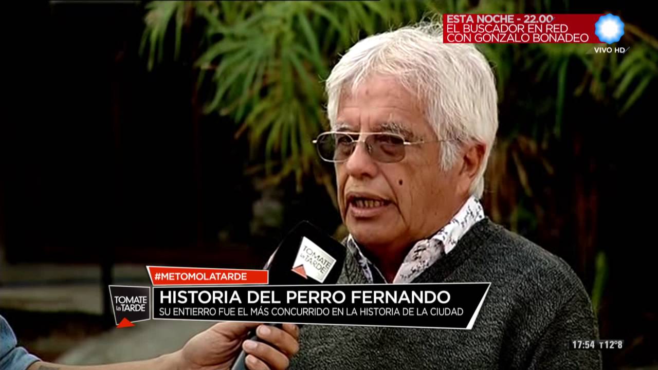 Móvil Historia del perro Fernando en Tomate la Tarde (2 de 2) - YouTube