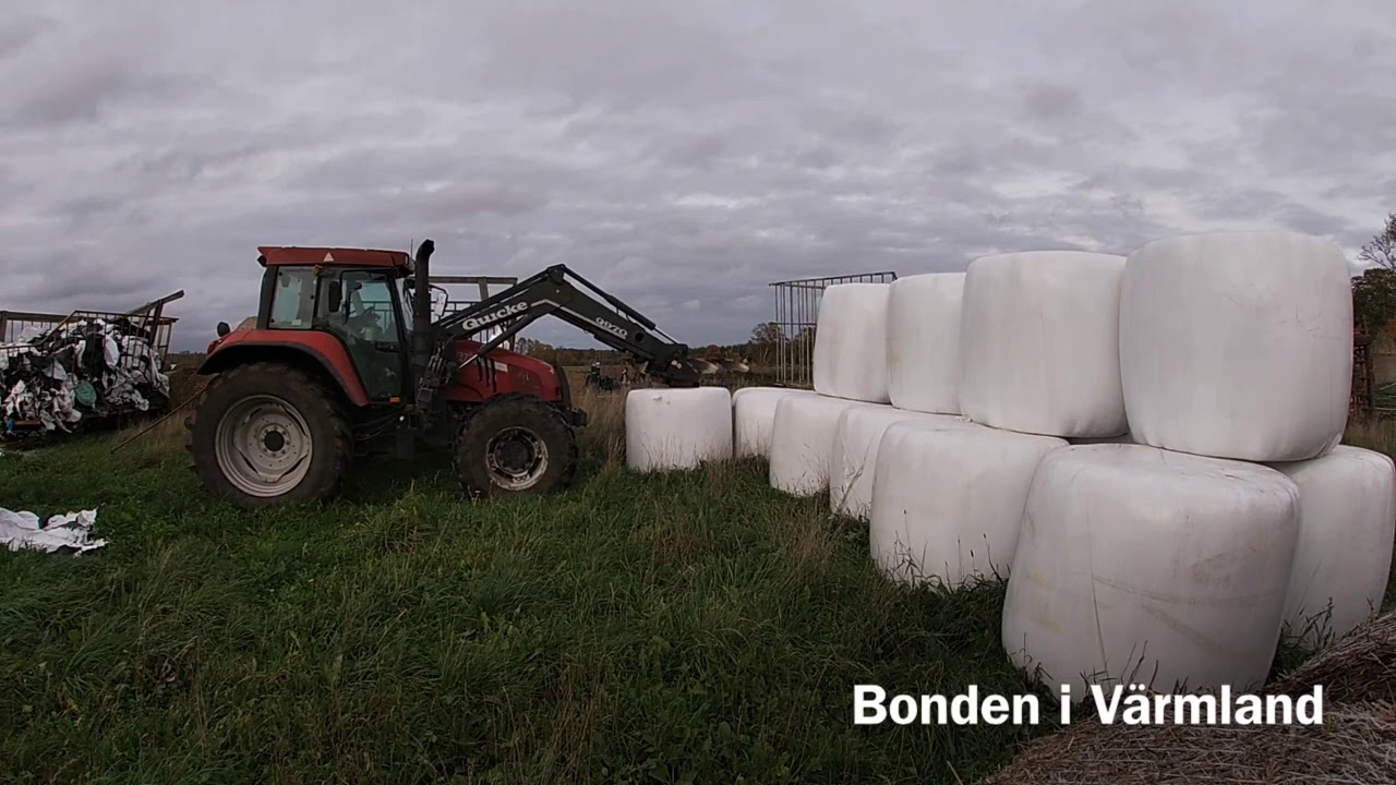 Kör in foder till djuren 🐄 - YouTube