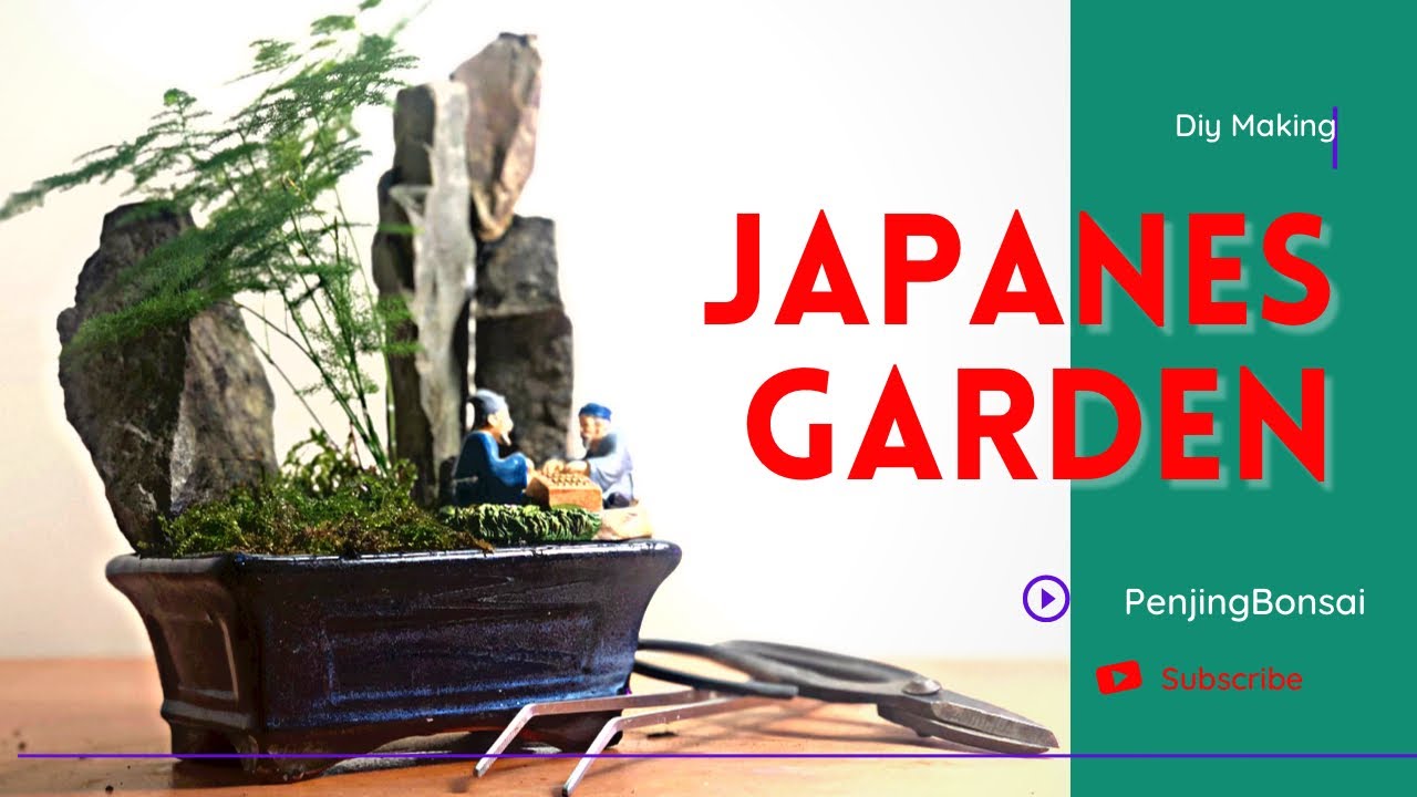 How to make Penjing Asparagus Fern Bonsai - A Step-By-Step Tutorial ...