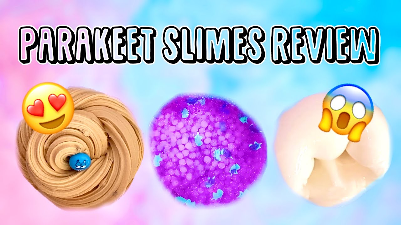 PARAKEET SLIMES REVIEW!! 😱😍100% HONEST - YouTube