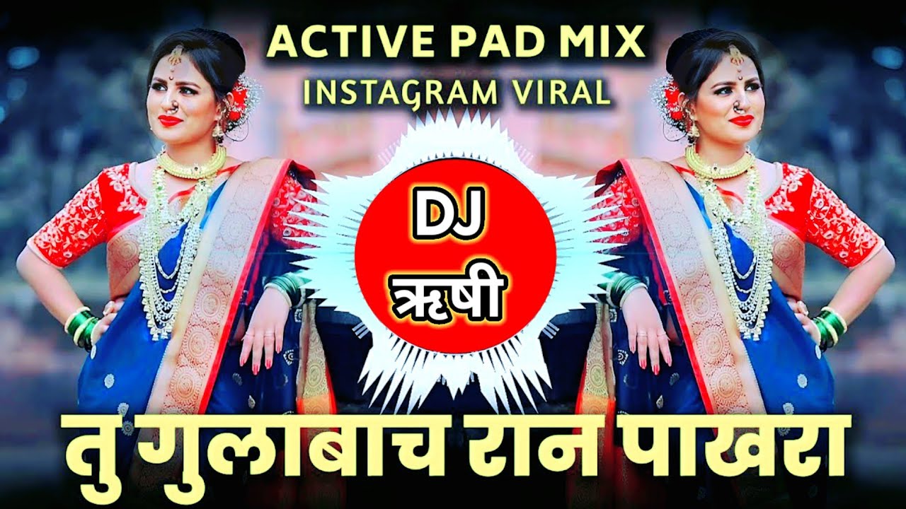 तू गुलाबाच रान पाखरा || New Instagram Viral Song | EDM mix dj RUSHI ...